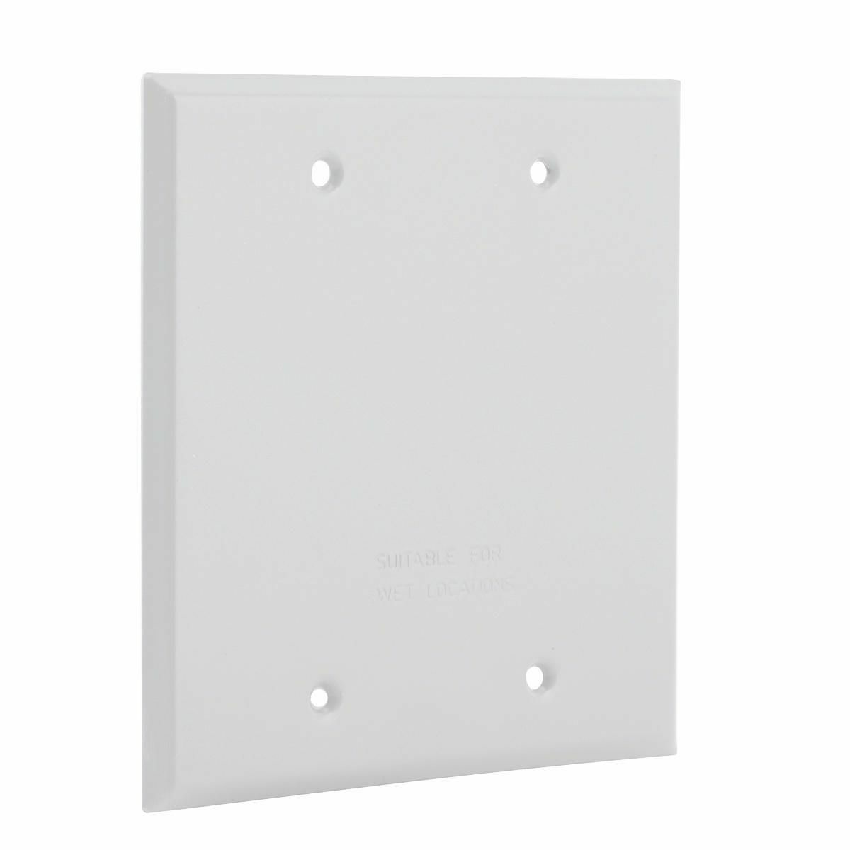 Two Gang White Blank Covers - Device Mount | Crescent Electric Supply ...